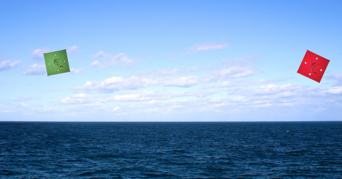 Stores – SFE Kites